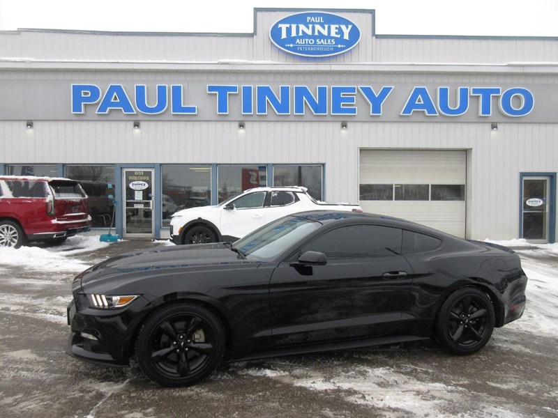 2017 Ford Mustang V6 for sale in Peterborough, ON by Paul Tinney Auto Sales