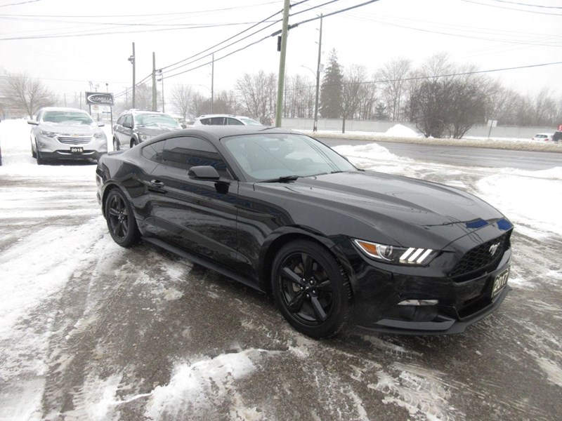 2017 Ford Mustang V6 for sale in Peterborough, ON by Paul Tinney Auto Sales